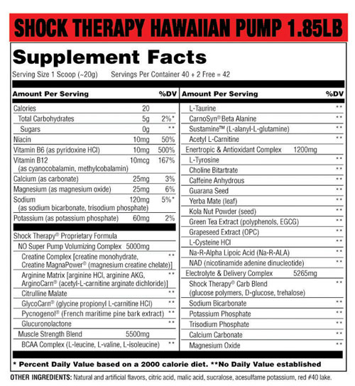 SHOCK THERAPY Universal – ProteineTOP